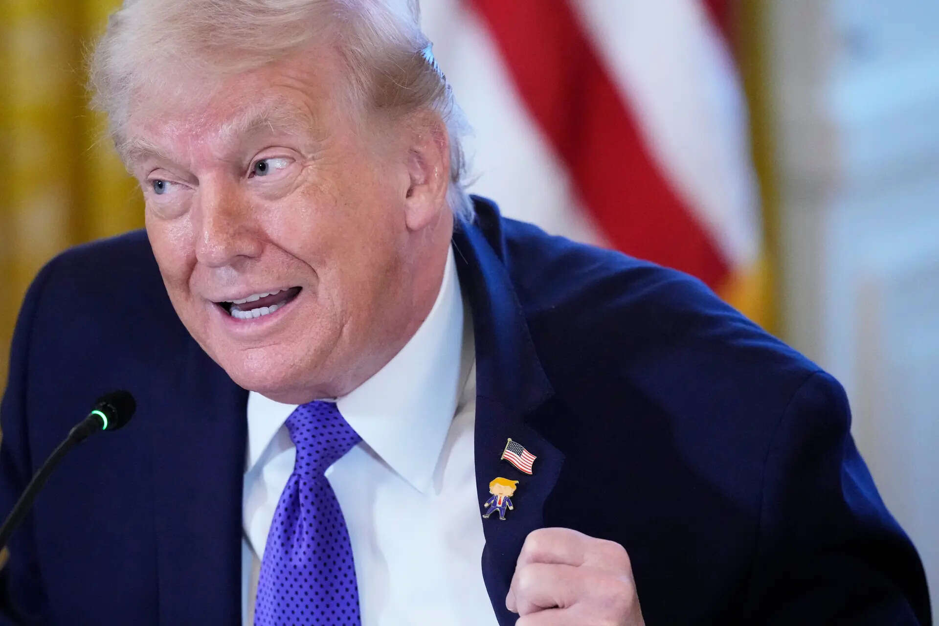 Trump calls for one-year 10% cap on credit card interest rates, vows to ...