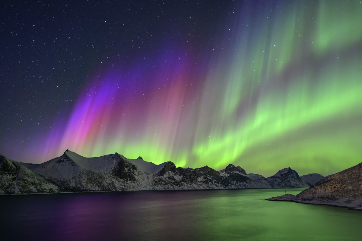 Norway unveils the world's first glass-roofed night train for panoramic ...