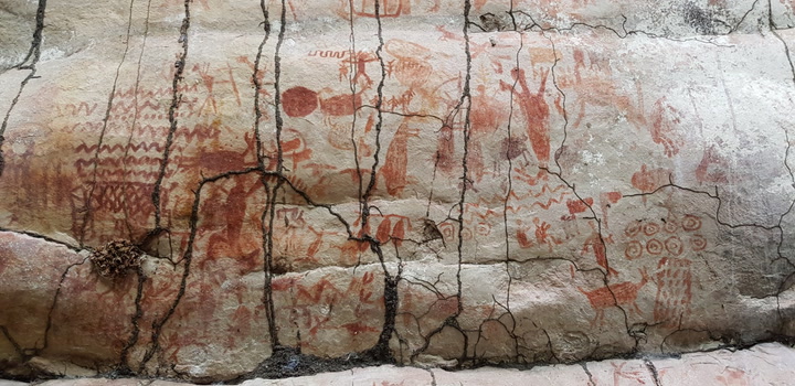 Ice Age rock art discovered hidden in Amazon rainforest