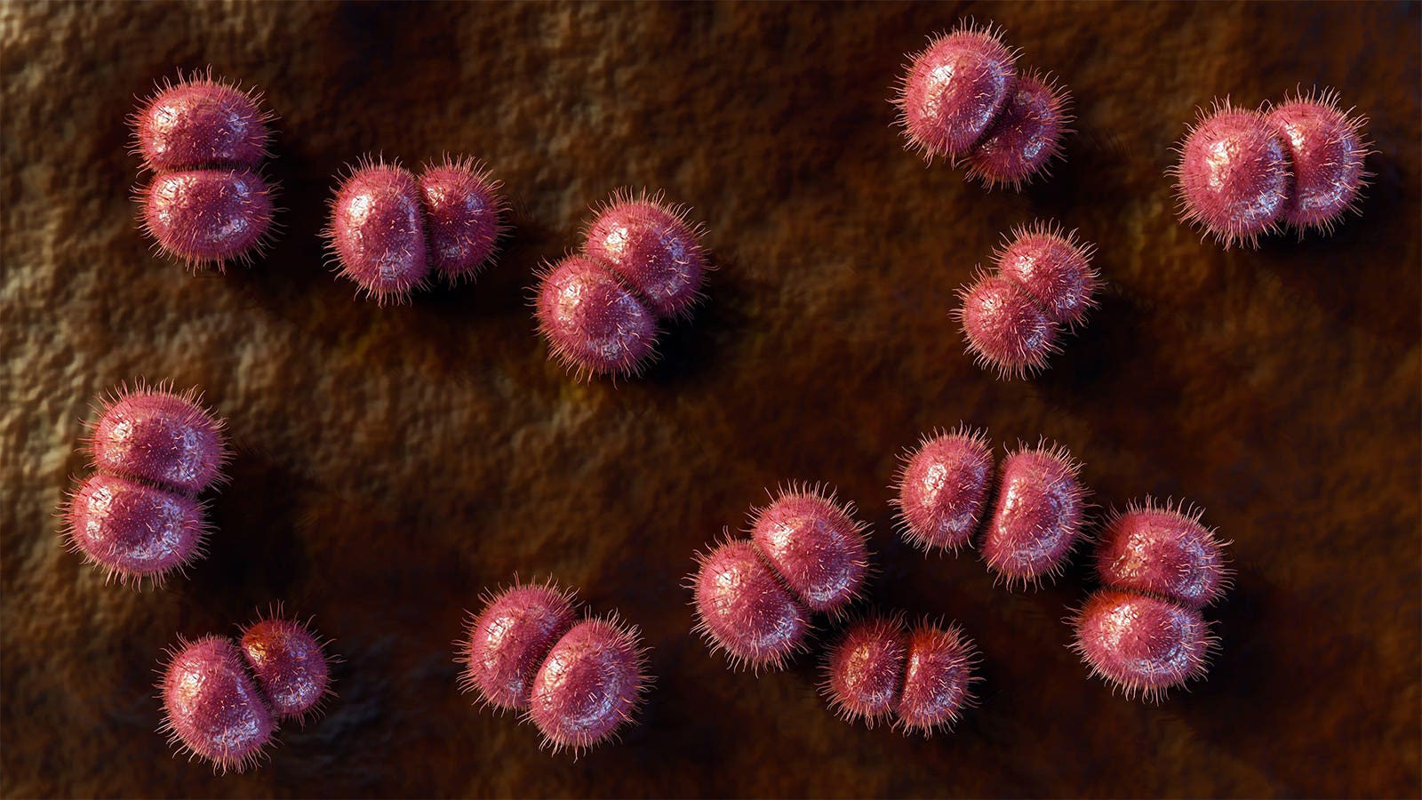 New CDC guidance could revive a rare but deadly disease