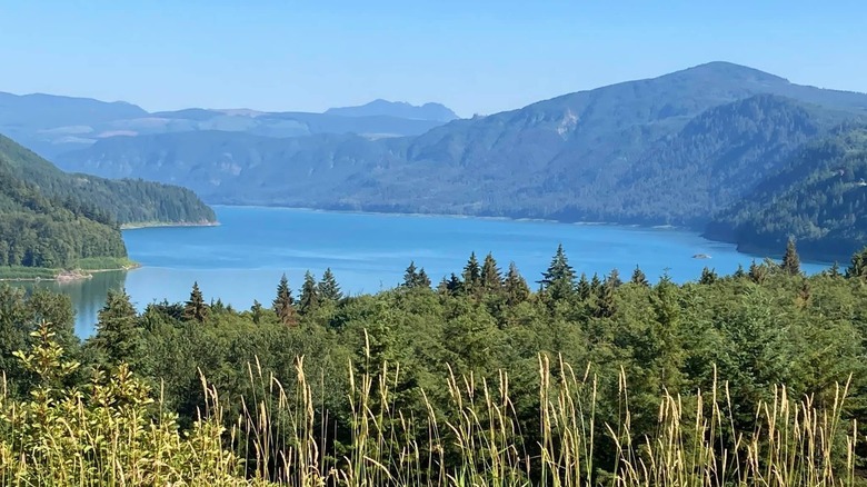 Nestled between Portland and Seattle is Washington's scenic city with ...