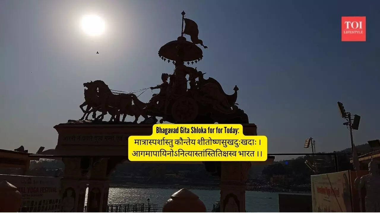 Bhagavad Gita shloka for today: Happiness and pain come and go, how to ...