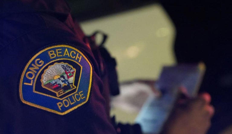 California driver allegedly kills 2 more people while out on bail for ...