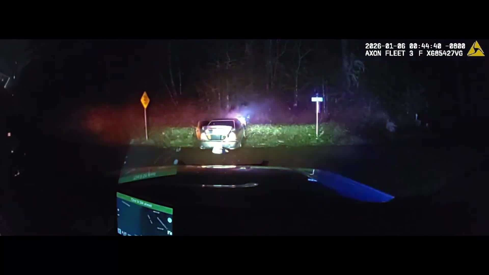 Watch: Deputies arrest driver after short pursuit; dogs thrown from car ...