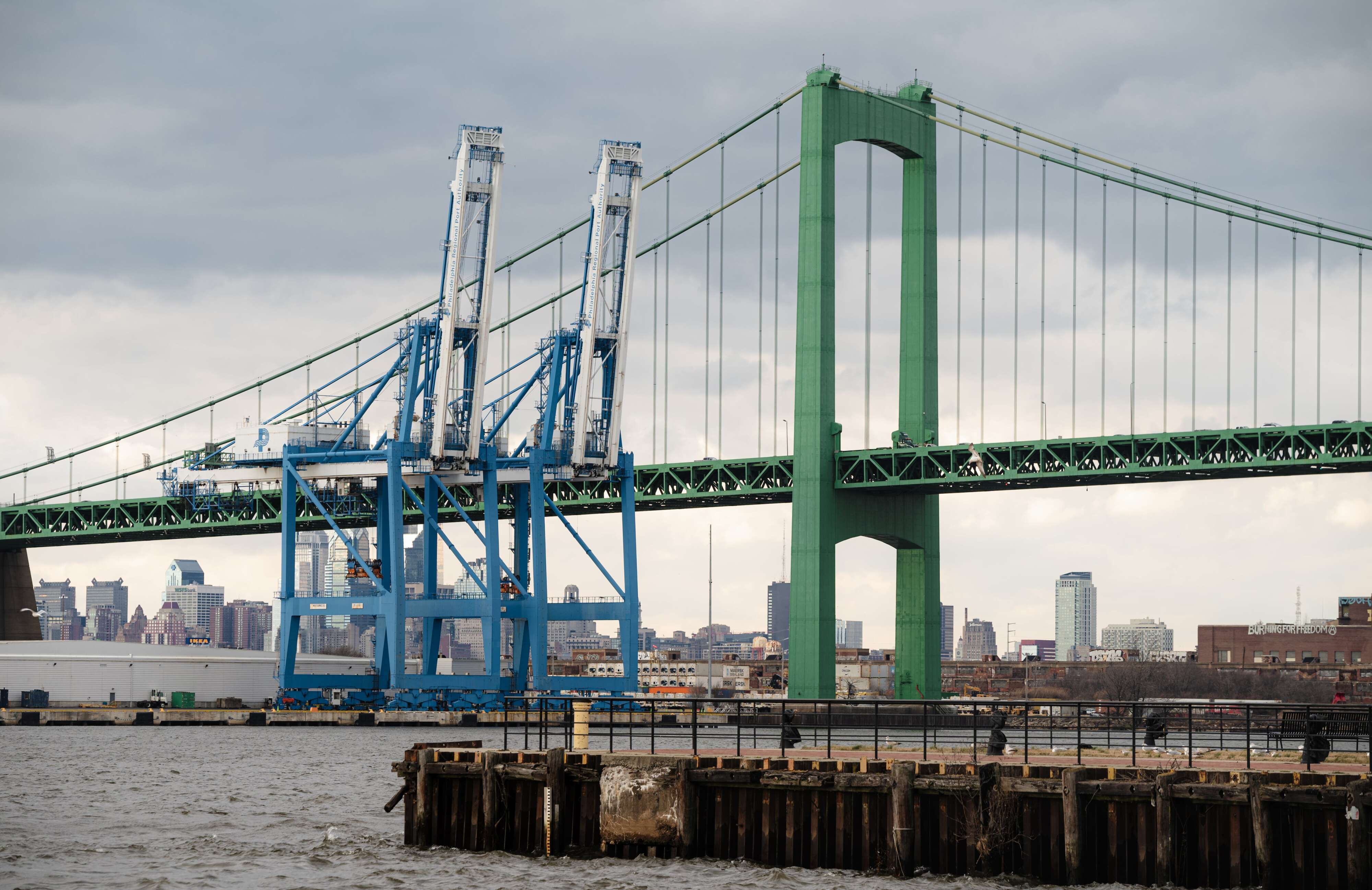 Vessel strike suspected in death of whale found on cargo ship in South ...