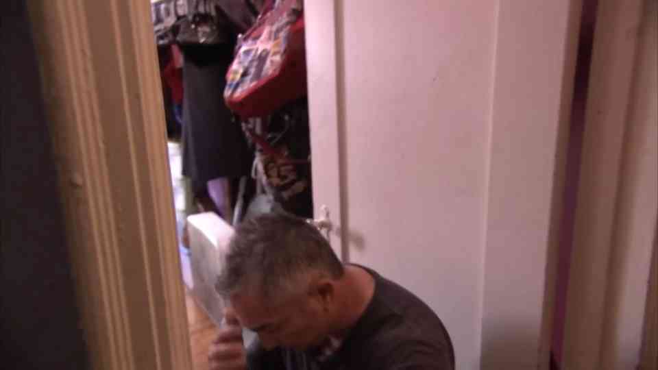 One accident turned these sweet dogs vicious | Dog Whisperer with Cesar ...