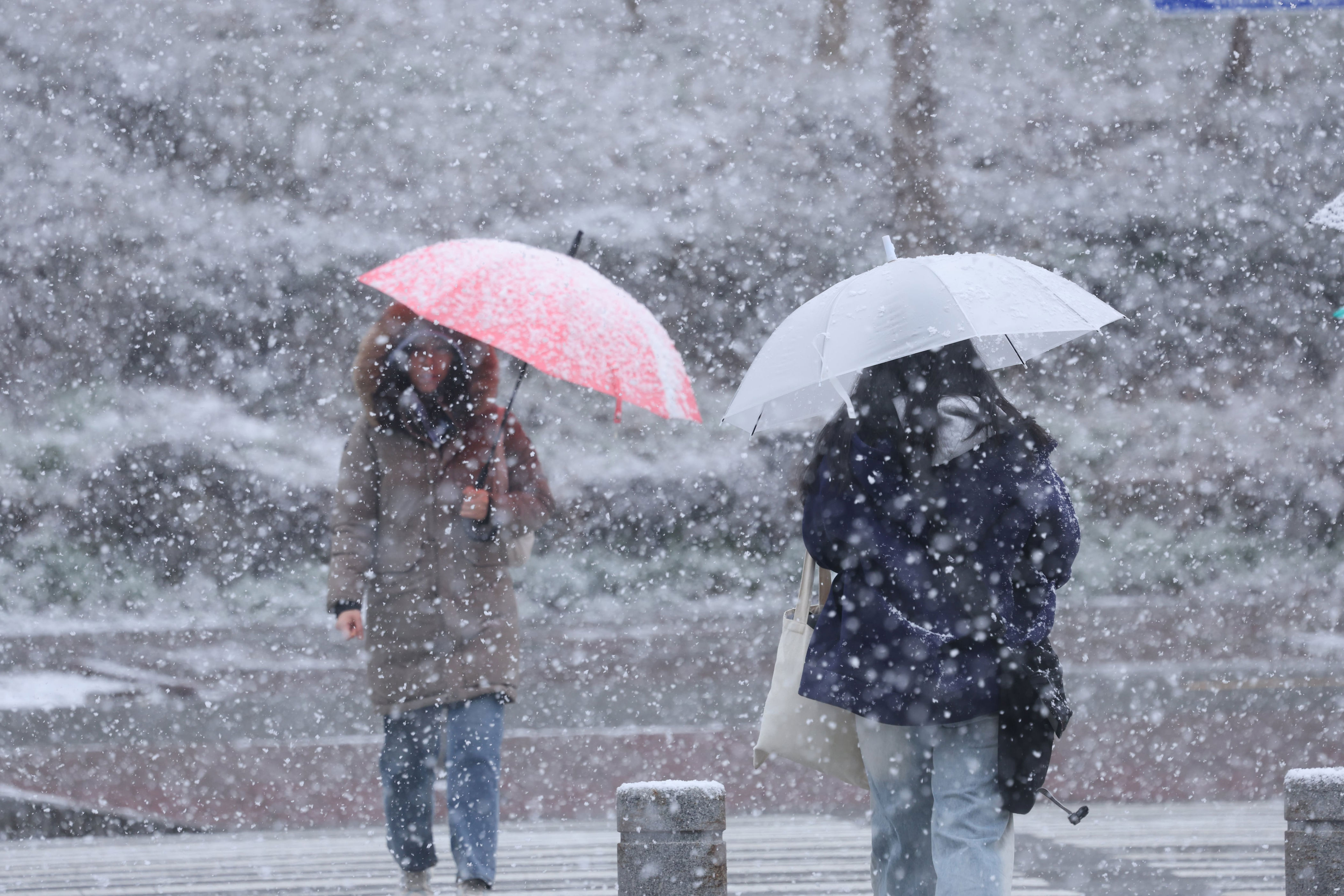 Central regions: Snow, rain early next week