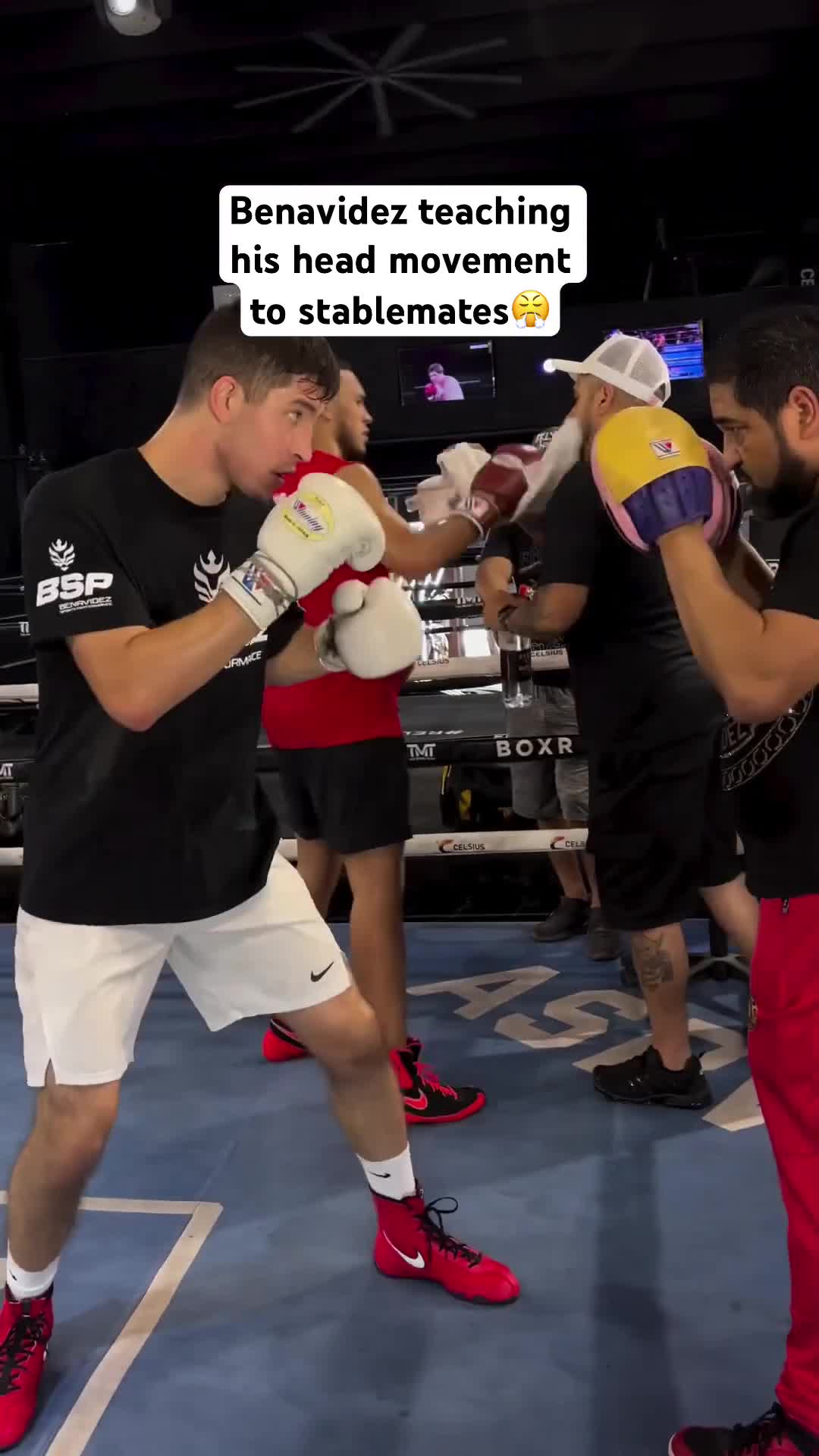 David Benavidez working on and teaching his head movement to his stable🇲🇽