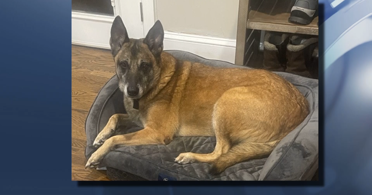 'No repercussions for him': Family looking for answers 9 months after ...