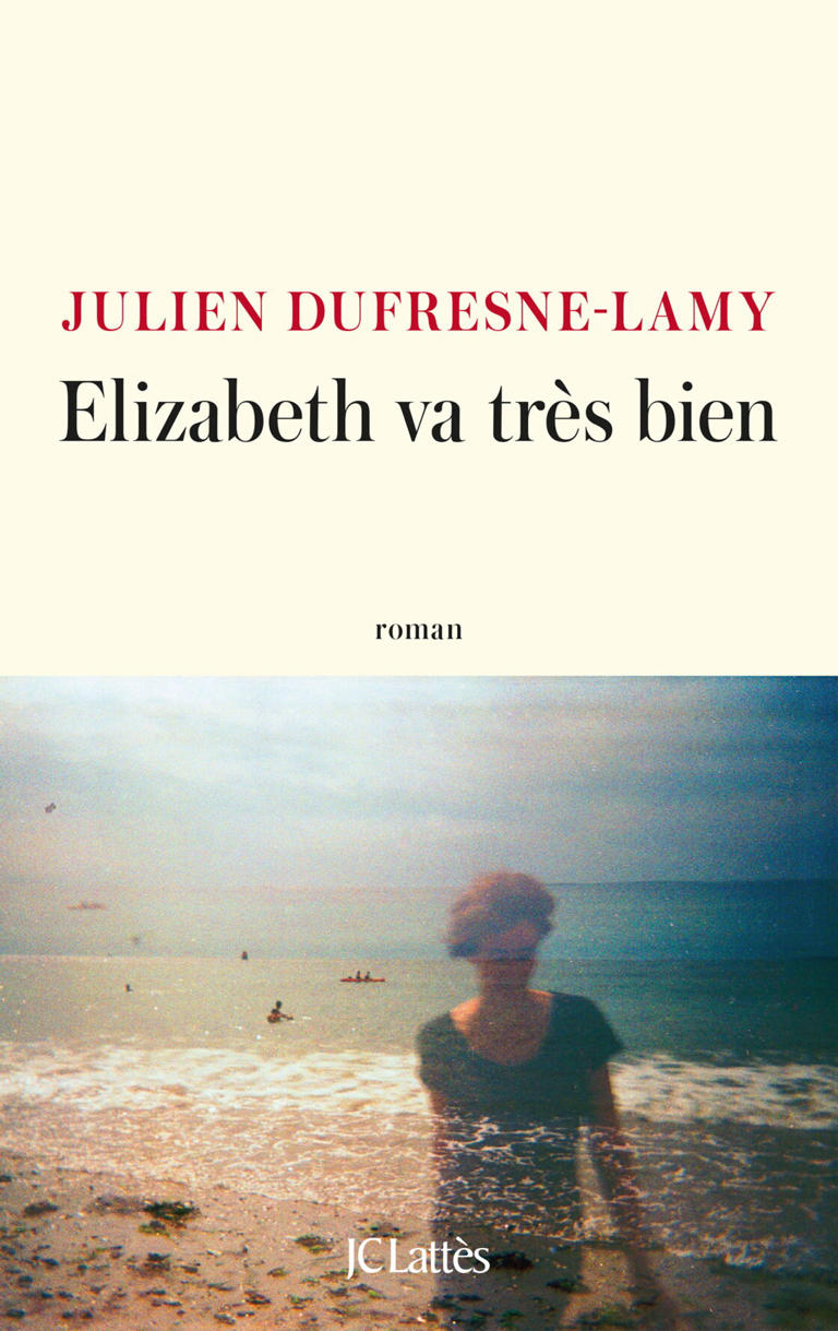 Littérature : les 6 livres coups de cœur de l'écrivain David Lelait ...