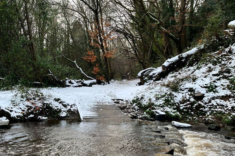 Winter woodland walk minutes from Sheffield that looks perfect in the snow