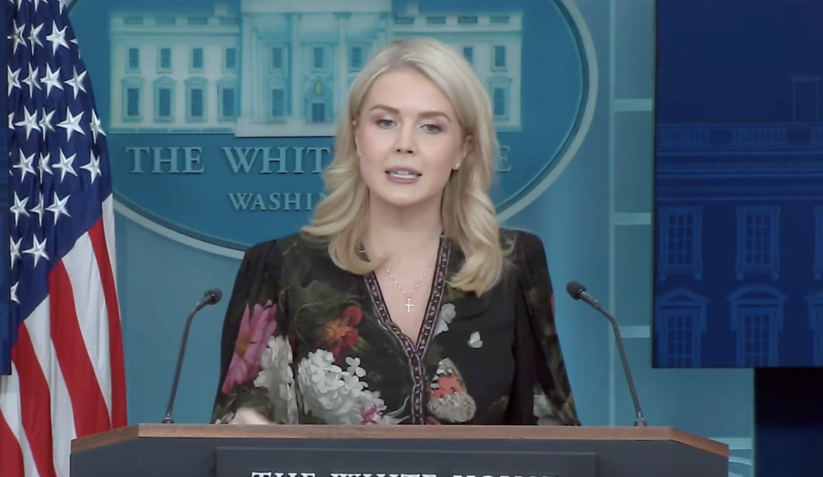 'Call the Democrats and tell them': Karoline Leavitt sidesteps ...