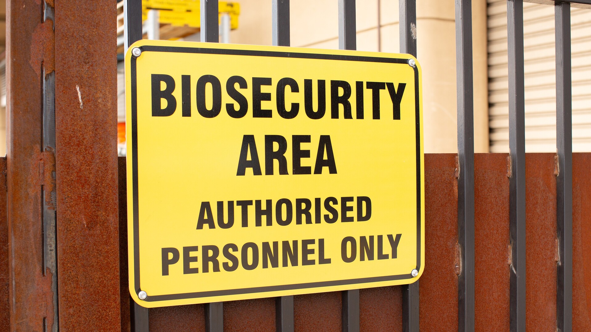 Australia’s biosecurity crackdown: Travellers warned as thousands of ...
