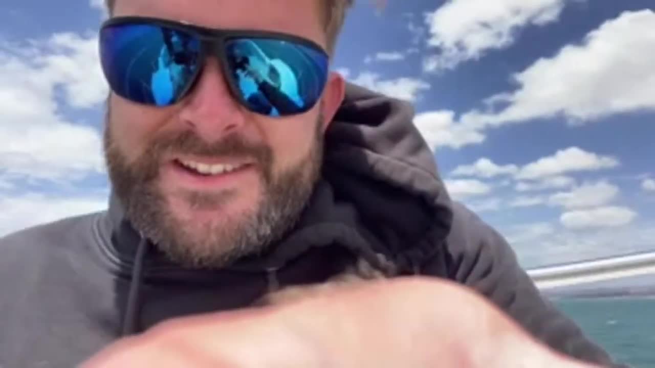 We have a baby great white shark 🦈