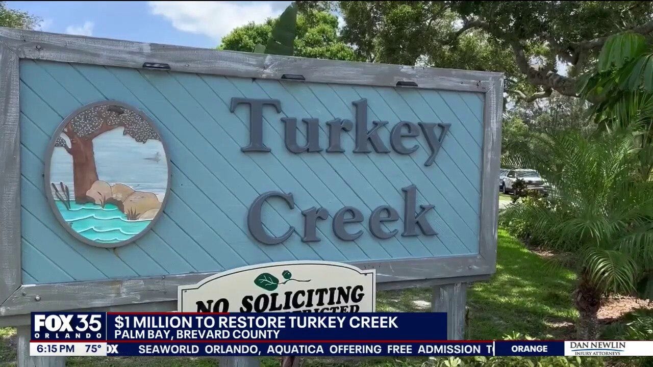 Palm Bay restoring Turkey Creek with $1M grant