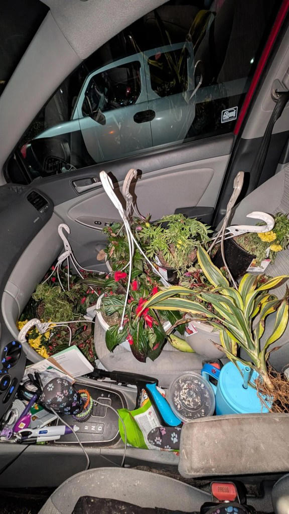 Passerby shares photo of stunning discovery in grocery store trash: 'I ...