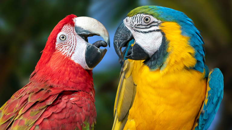 The Google antigravity hype train: 5 reasons why I won't buy that ticket