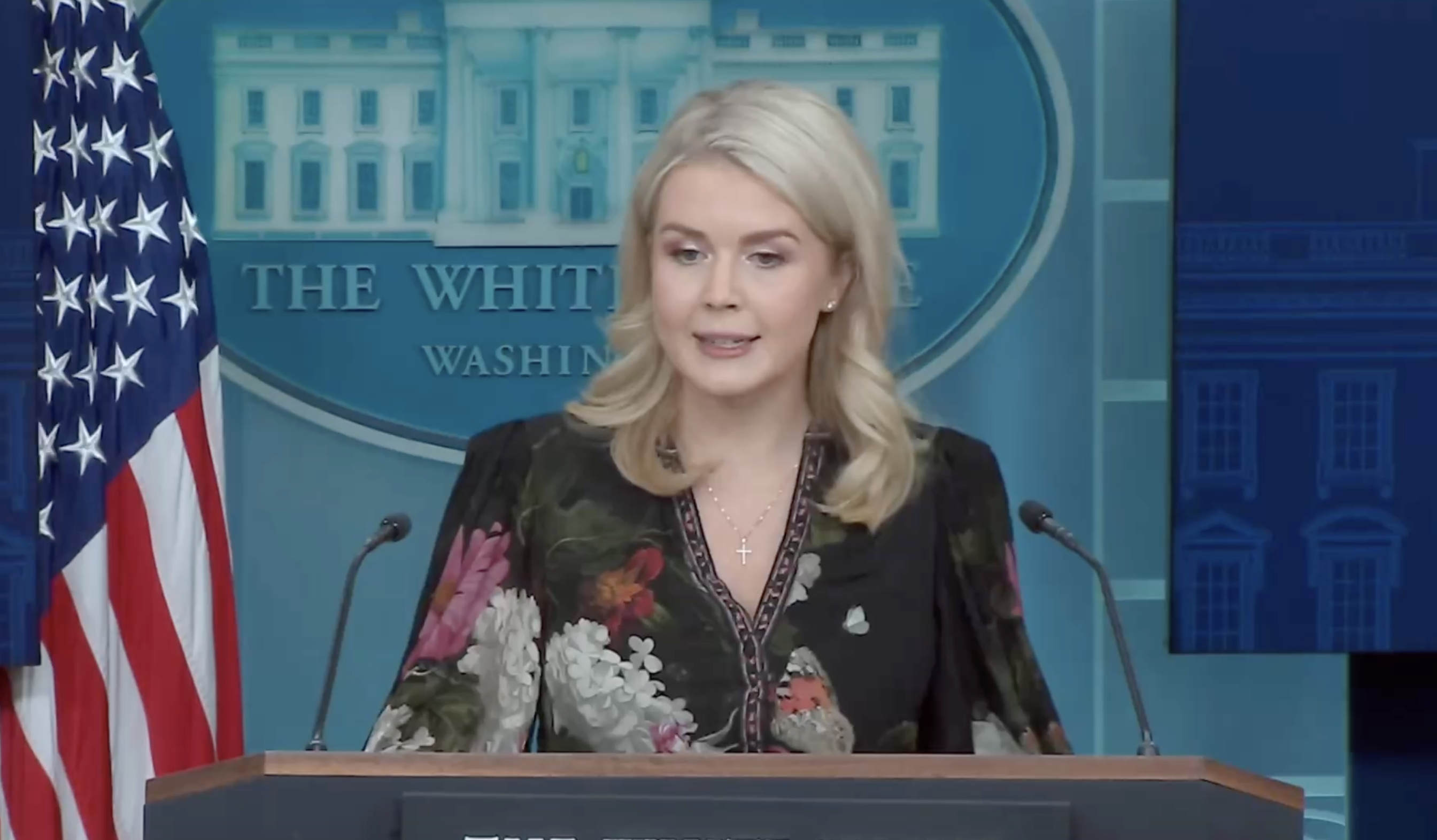 'Have a little bit of courage': Karoline Leavitt loses her cool, scolds ...