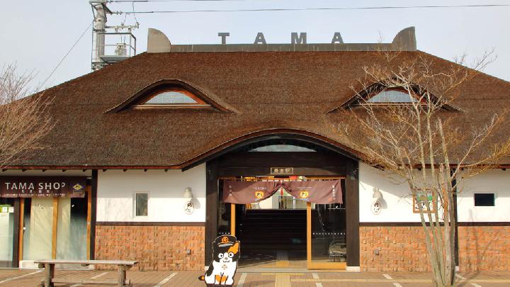 Kucing belang ditunjuk sebagai kepala stasiun di Jepang