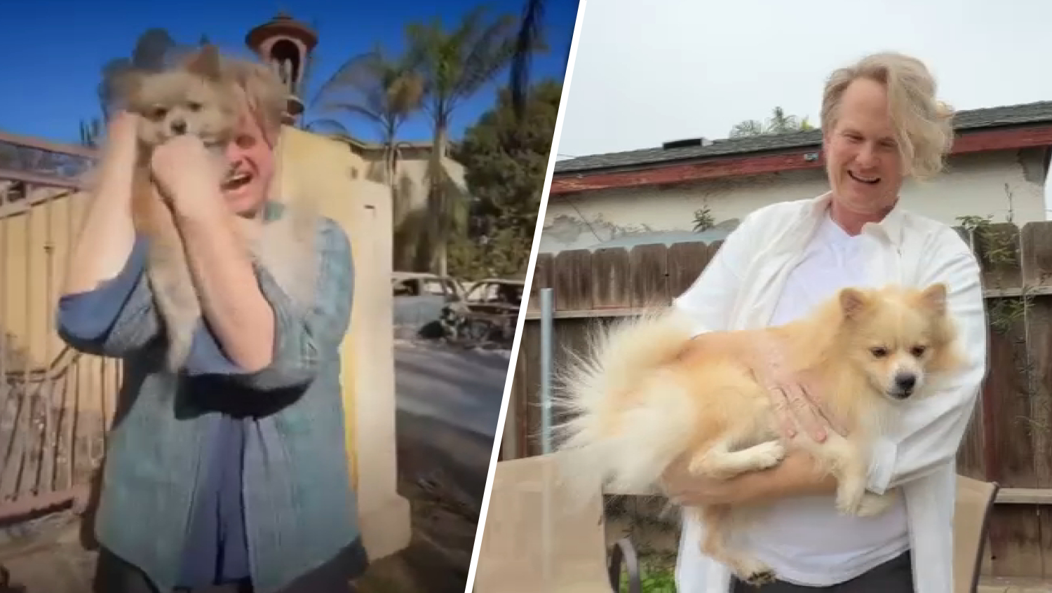 From fire to family: Oreo's rescue sparks change across California