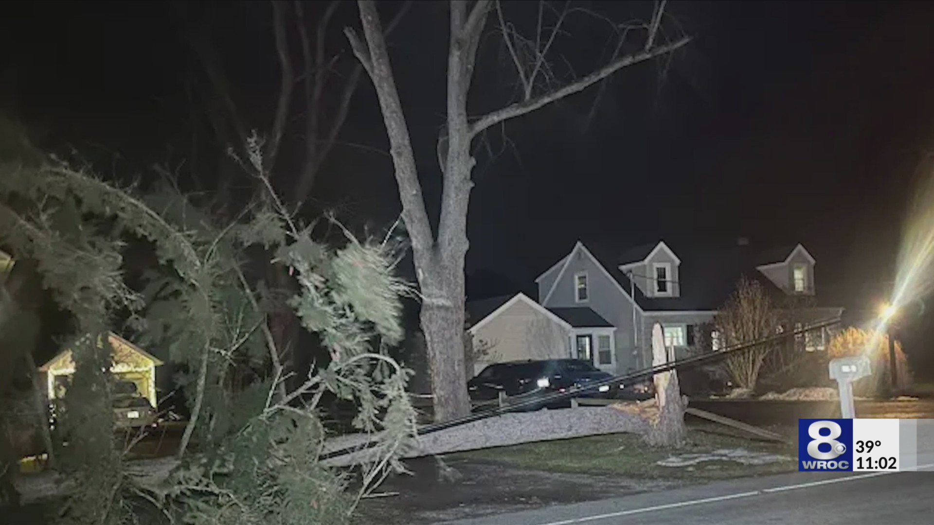 Gallery: High winds knock down trees, power lines around Rochester