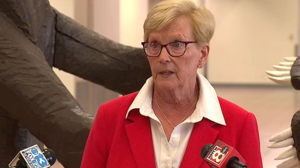 Rep. Pingree optimistic about chances Senate passes ACA tax credits