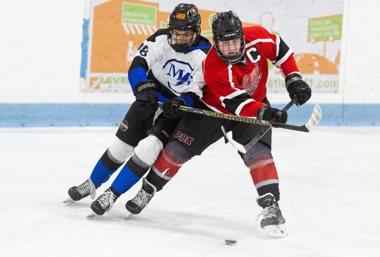 Keegan Nephin’s go-ahead goal helps Manheim Township ice hockey defeat ...