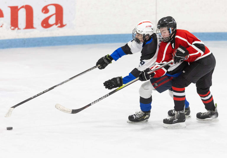 Keegan Nephin’s go-ahead goal helps Manheim Township ice hockey defeat ...