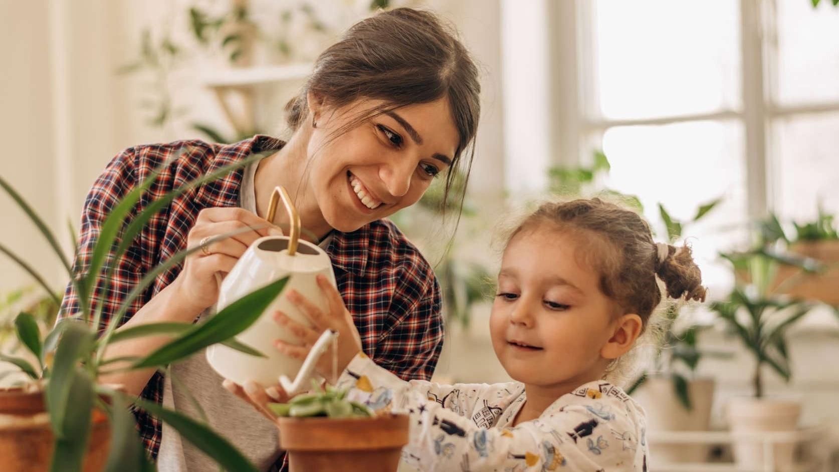 These houseplants are almost impossible to kill