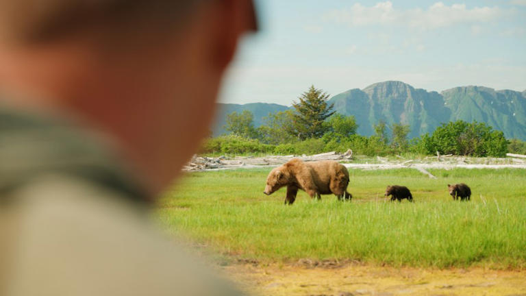 A filmmaker left a camera in a grizzly bear cave for 10 years. Here’s ...