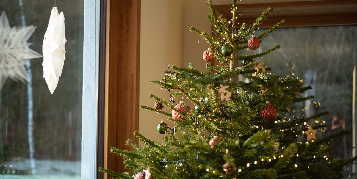 My Christmas tree is still up – here’s why I refuse to take it down in ...