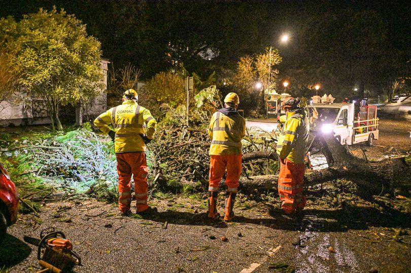 Man found dead after tree falls onto caravan in Storm Goretti