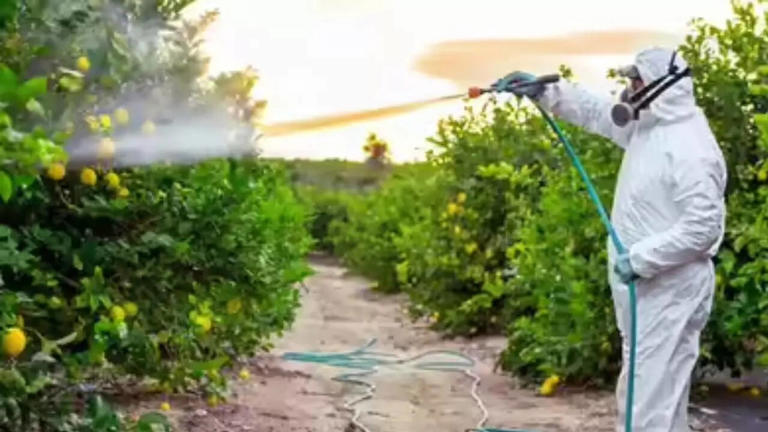 Are pesticides stealing farmers’ memories? Alarming signs emerge from ...