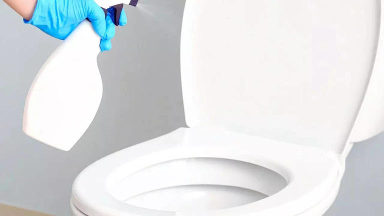 Expert shares crucial washroom hygiene tips: Are you following them?