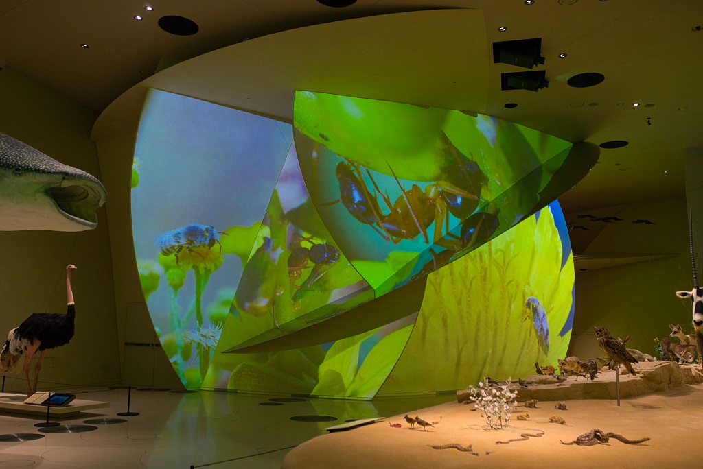 Projection mapping and the law: What advertisers should know