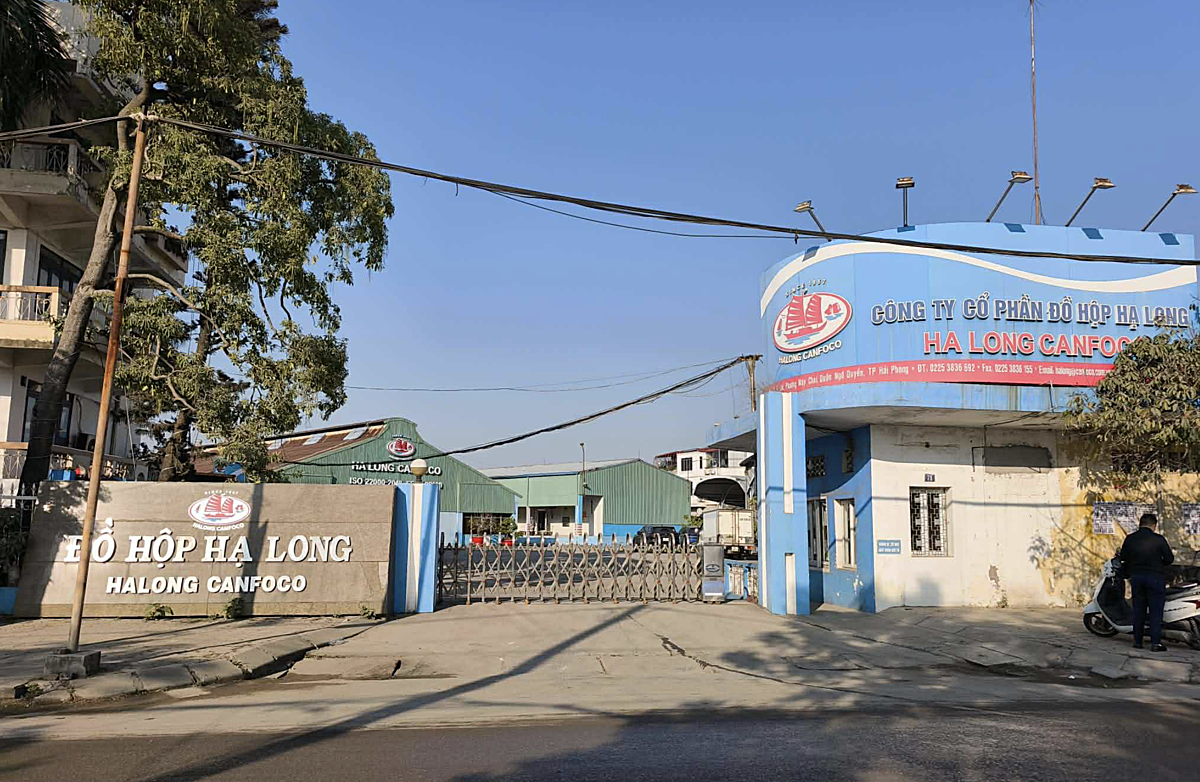 Tổng giám đốc Công ty Đồ hộp Hạ Long bị bắt