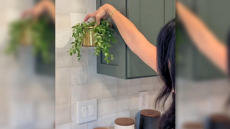 People are using toilet paper holders in their kitchens — and it's ...