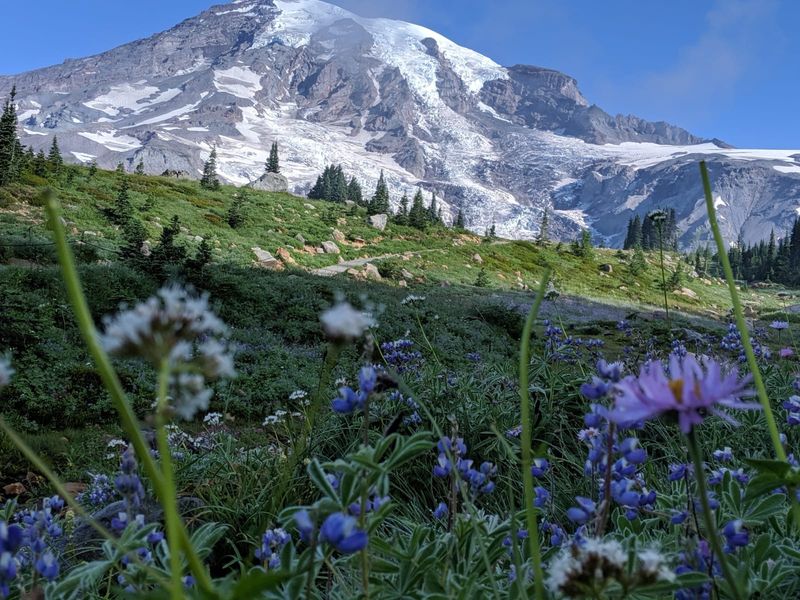 What travelers see in Washington state, from cities to coastal ...