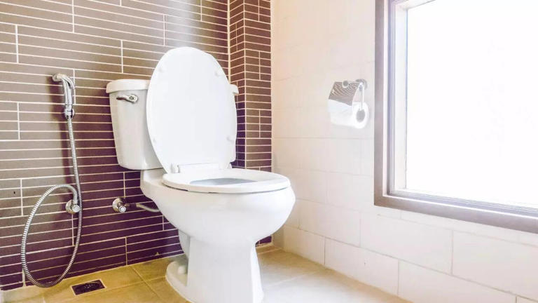 Expert shares crucial washroom hygiene tips: Are you following them?