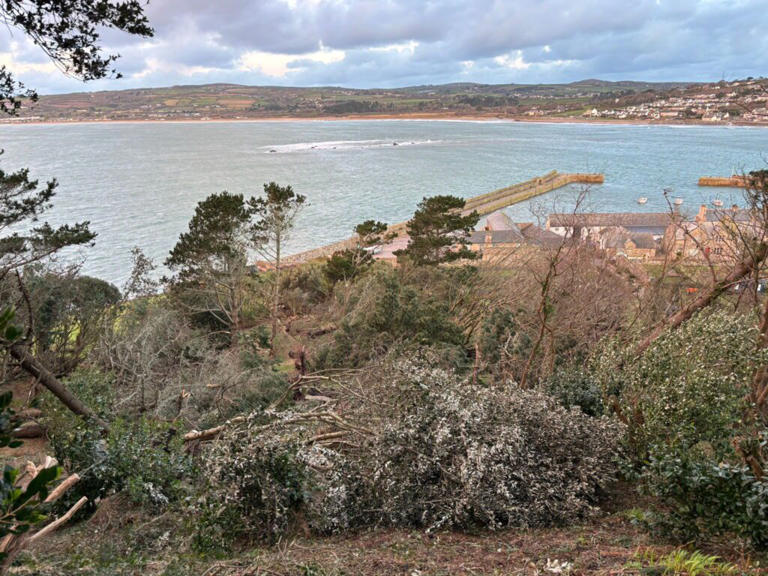 Nearly 100 trees blown down at St Michael’s Mount due to Storm Goretti