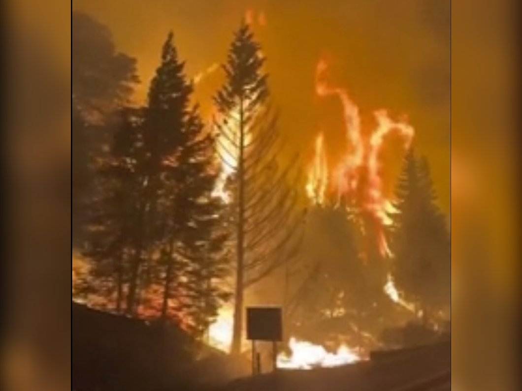 Hellfire: Violent forest fires ravage Argentina