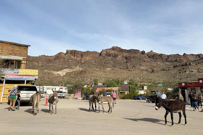 The Arizona ghost town that's overrun with donkeys