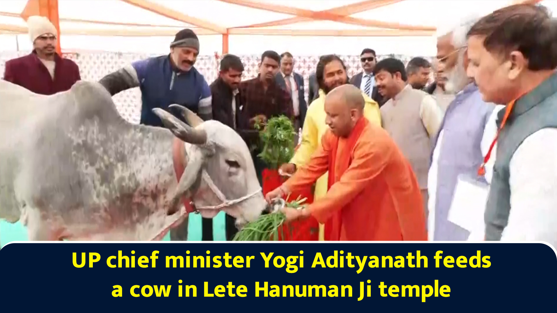 UP Chief Minister Yogi Adityanath feeds a cow in Lete Hanuman Ji temple