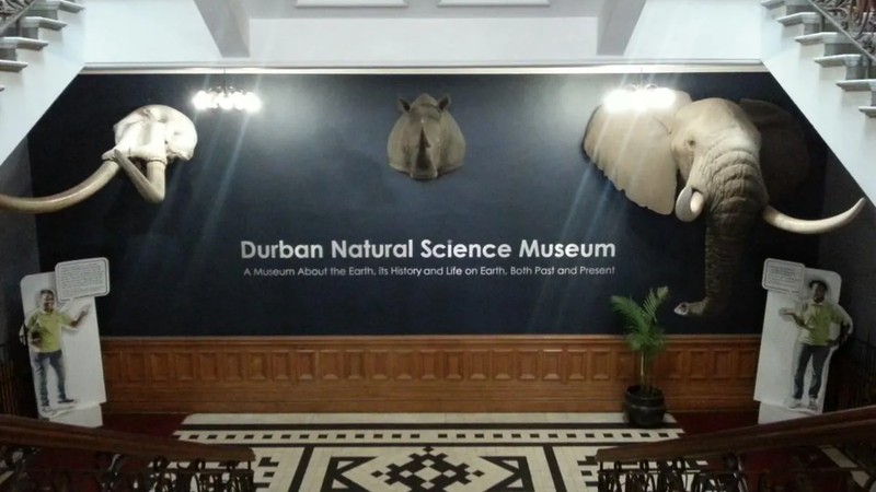 Embrace science: Durban teacher calls for volunteers at the Natural ...