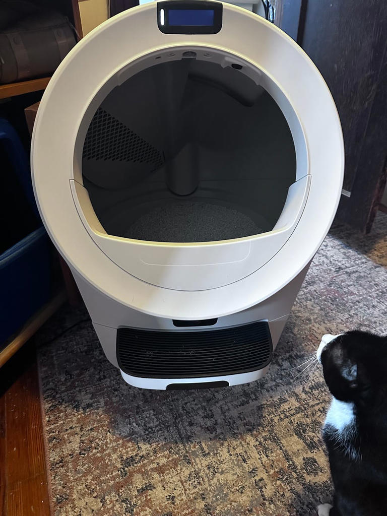 Is the Litter-Robot 5 Pro worth it? I reviewed it with my cat