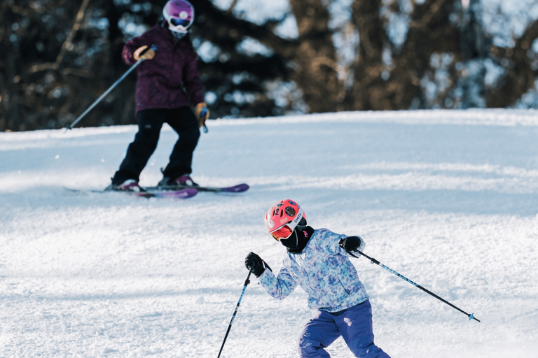 Family-friendly ski resorts near Minneapolis: 10 affordable options ...