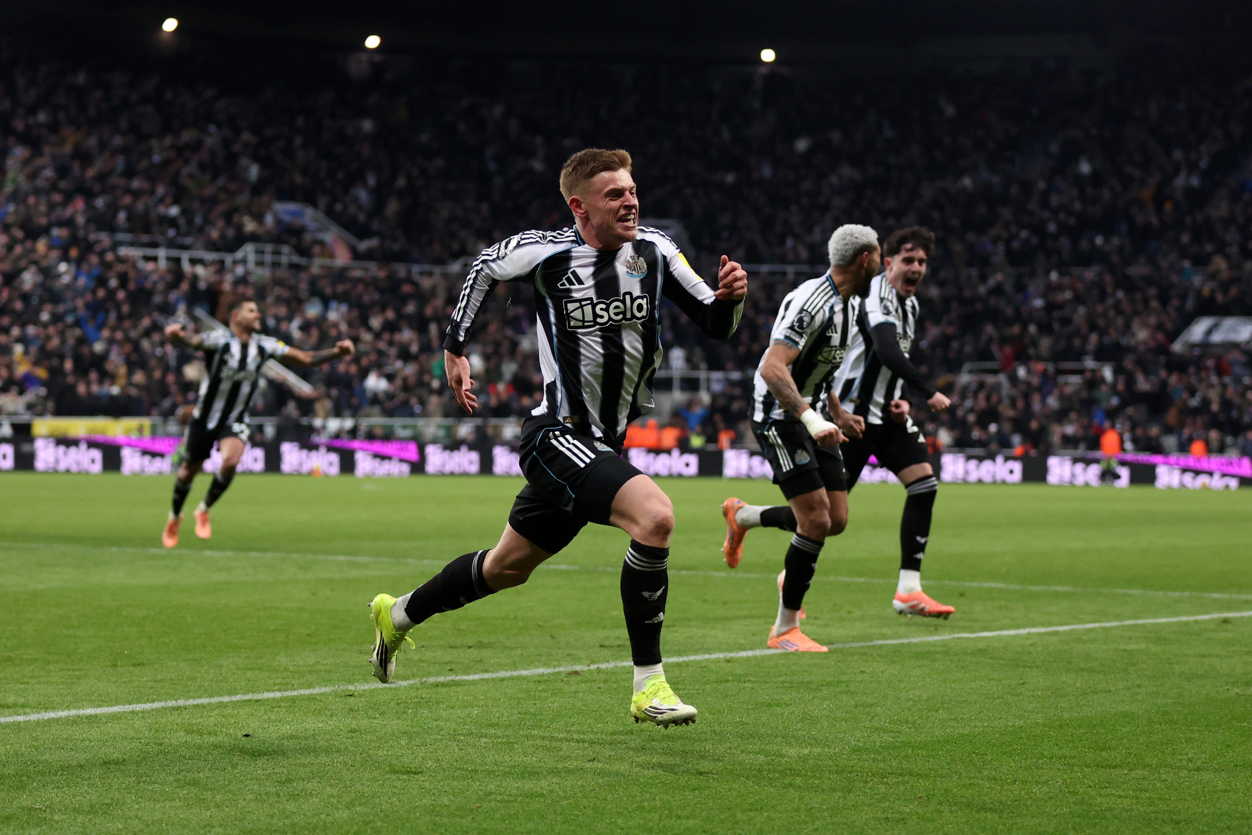 Wolves vs. Newcastle: Premier League betting odds, prediction, pick