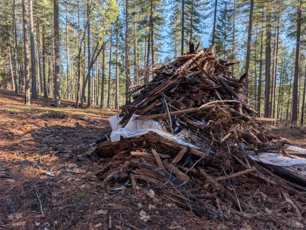 Control burn scheduled for northern Magalia