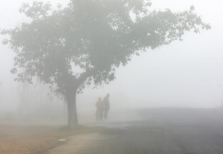 Early morning dense fog in north India kills 4 in vehicle collisions as ...