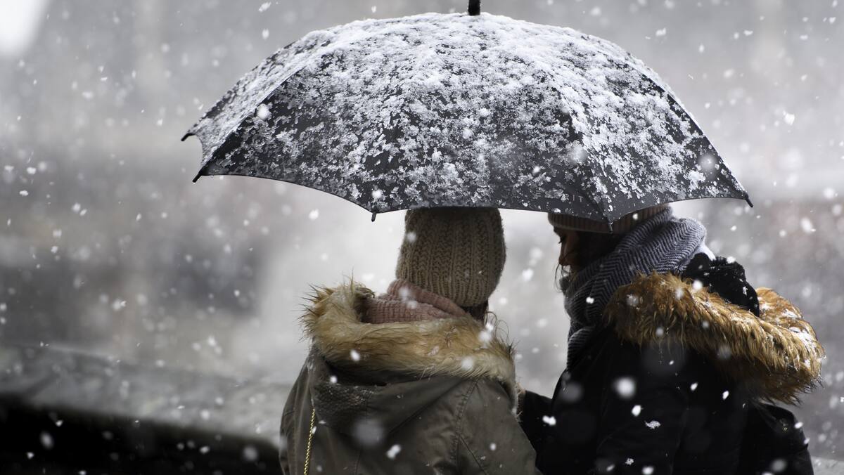 Tempête Goretti : De la neige en plaine et un fort risque d'avalanches ...